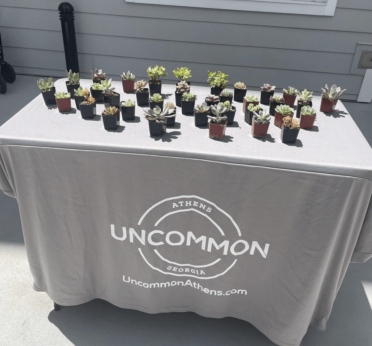 Apartments for Rent in Athens, GA Near UGA | Uncommon Athens